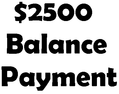 $2500 Balance - Electric ATV Direct